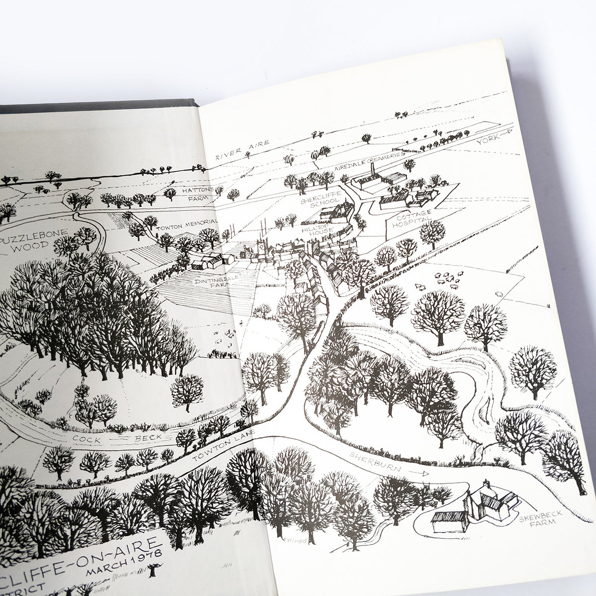 Paul Higgins - Puzzlebone Wood - FIRST EDITION - SIGNED BY AUTHOR – The Prudence and the Crow ...