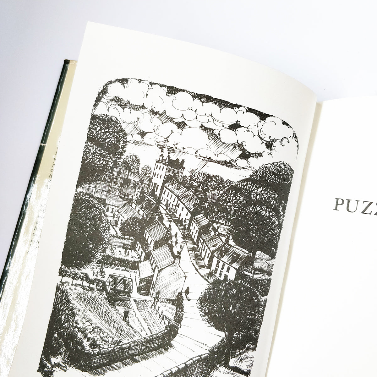Paul Higgins - Puzzlebone Wood - FIRST EDITION - SIGNED BY AUTHOR – The Prudence and the Crow ...