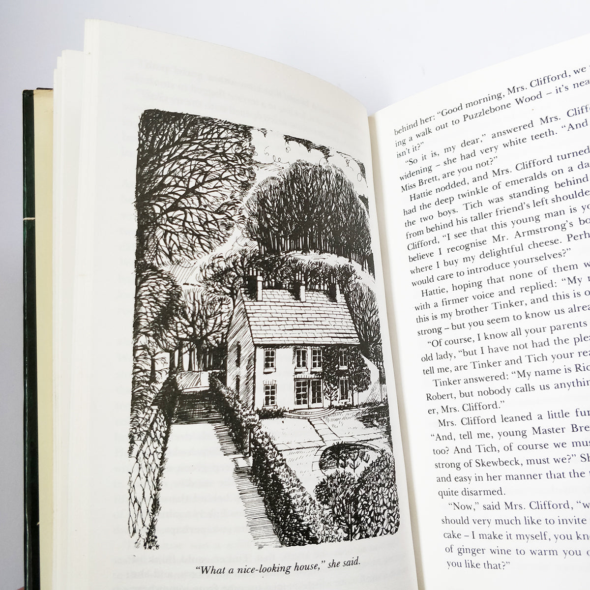 Paul Higgins - Puzzlebone Wood - FIRST EDITION - SIGNED BY AUTHOR – The ...