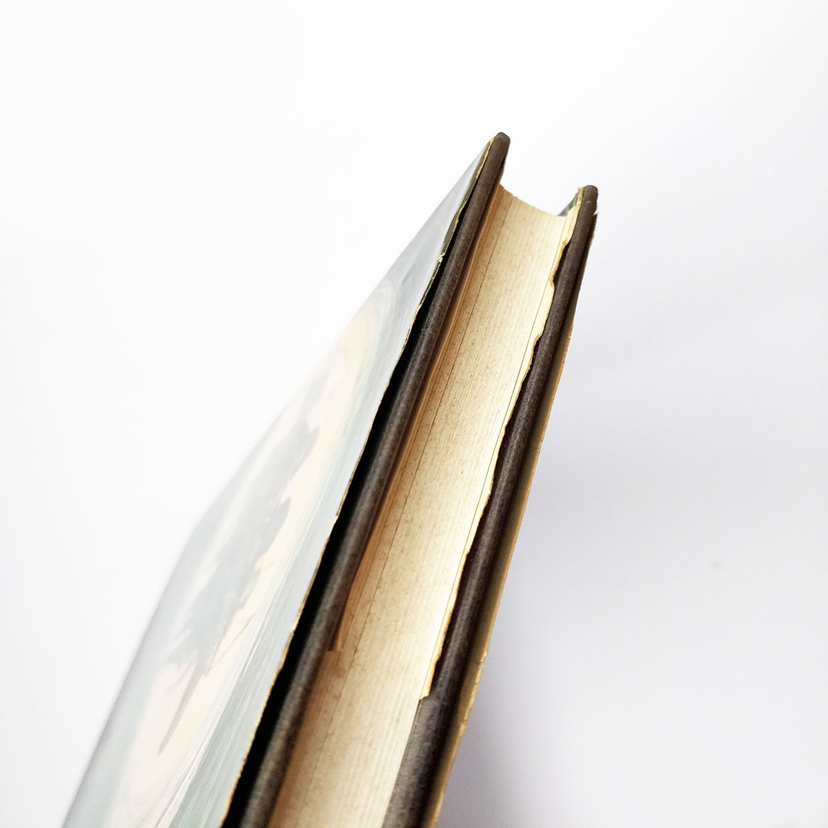 Paul Higgins - Puzzlebone Wood - FIRST EDITION - SIGNED BY AUTHOR – The Prudence and the Crow ...